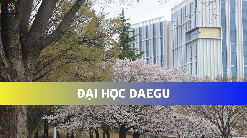 ĐẠI HỌC DAEGU - 대구대학교 - du học YK EDUCATION